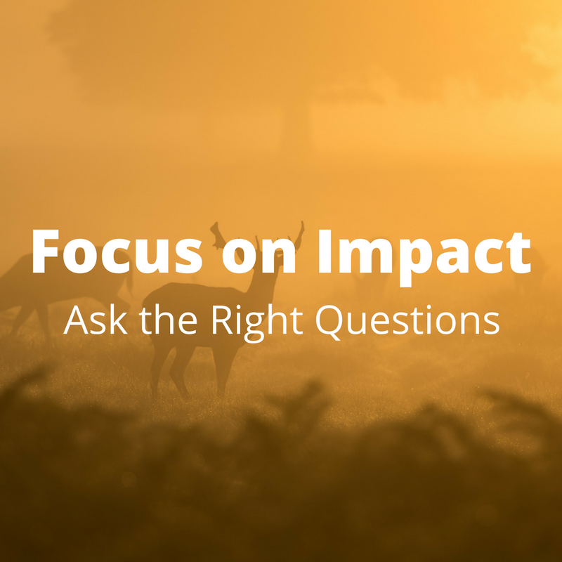 Change Your Focus and Ask The Right Questions – Impact! – Personal Blog ...